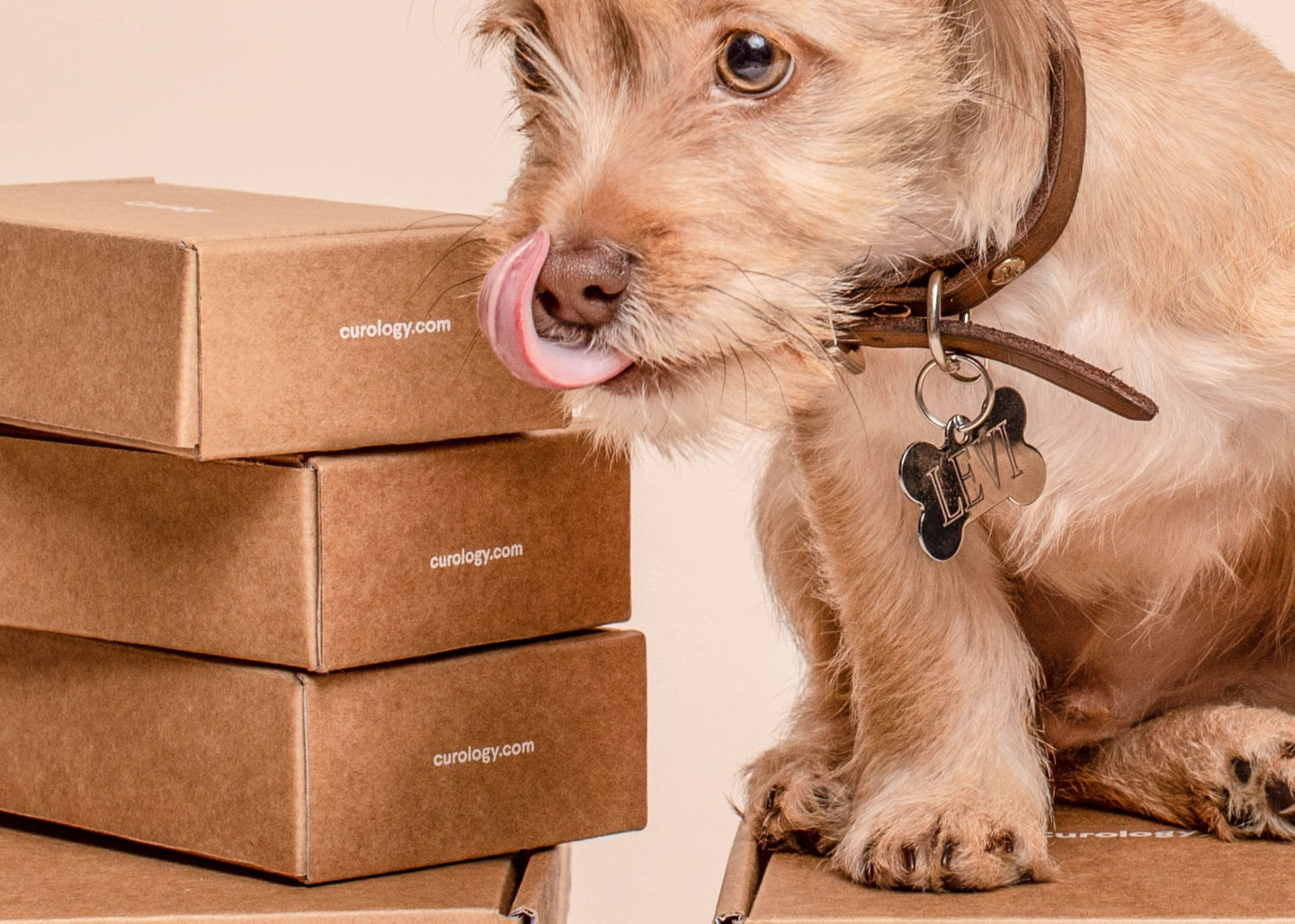 What Is Flat Rate Shipping Flat Rate Shipping Options